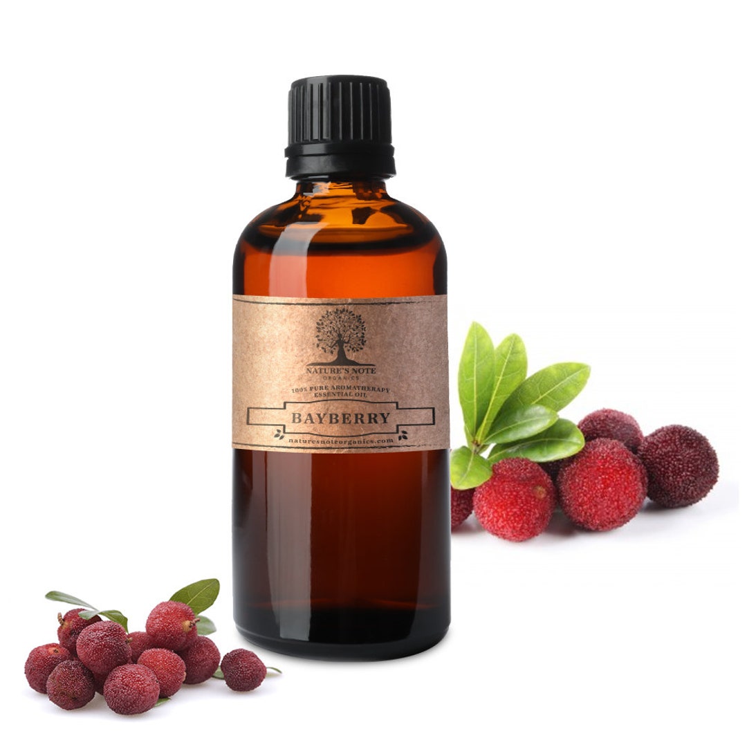 Bayberry Essential Oil: 100% Pure Aromatherapy Grade - Etsy