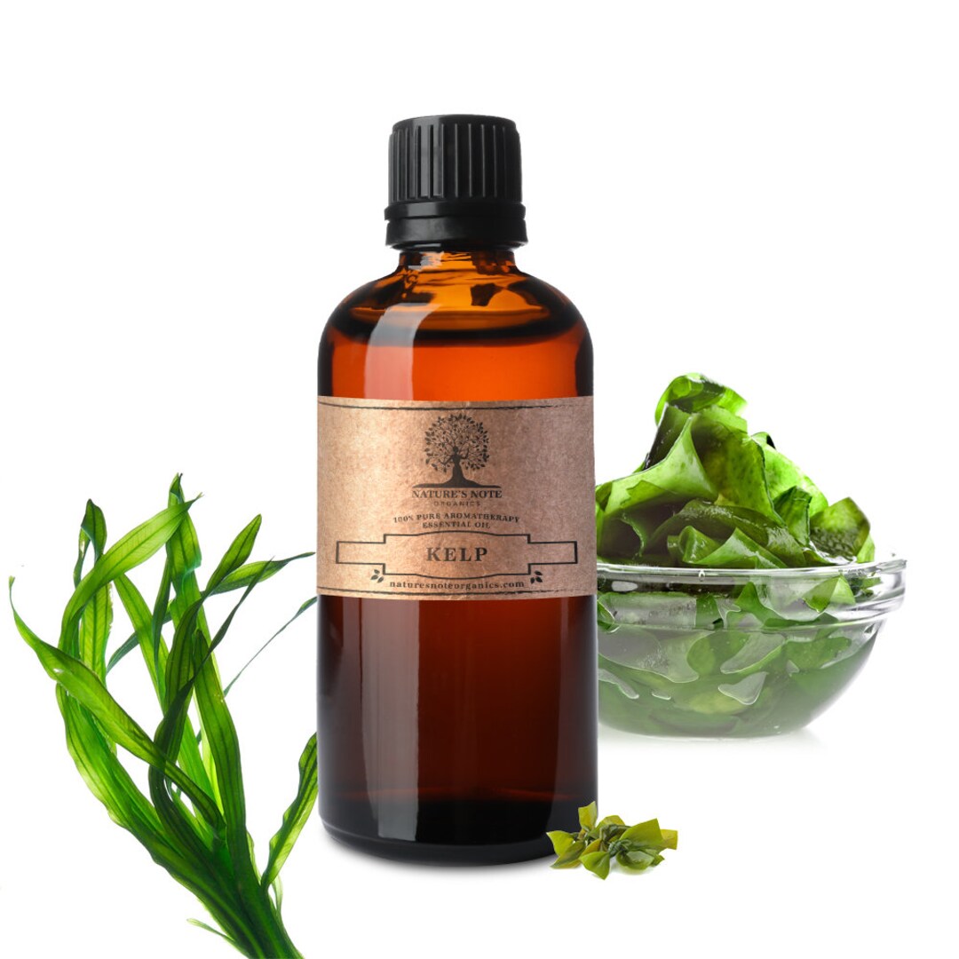 Kelp - 100% Pure Aromatherapy Grade Essential Oil by Nature's Note ...
