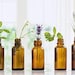 Pineapple Essential Oil: 100% Pure Aromatherapy Grade - Etsy