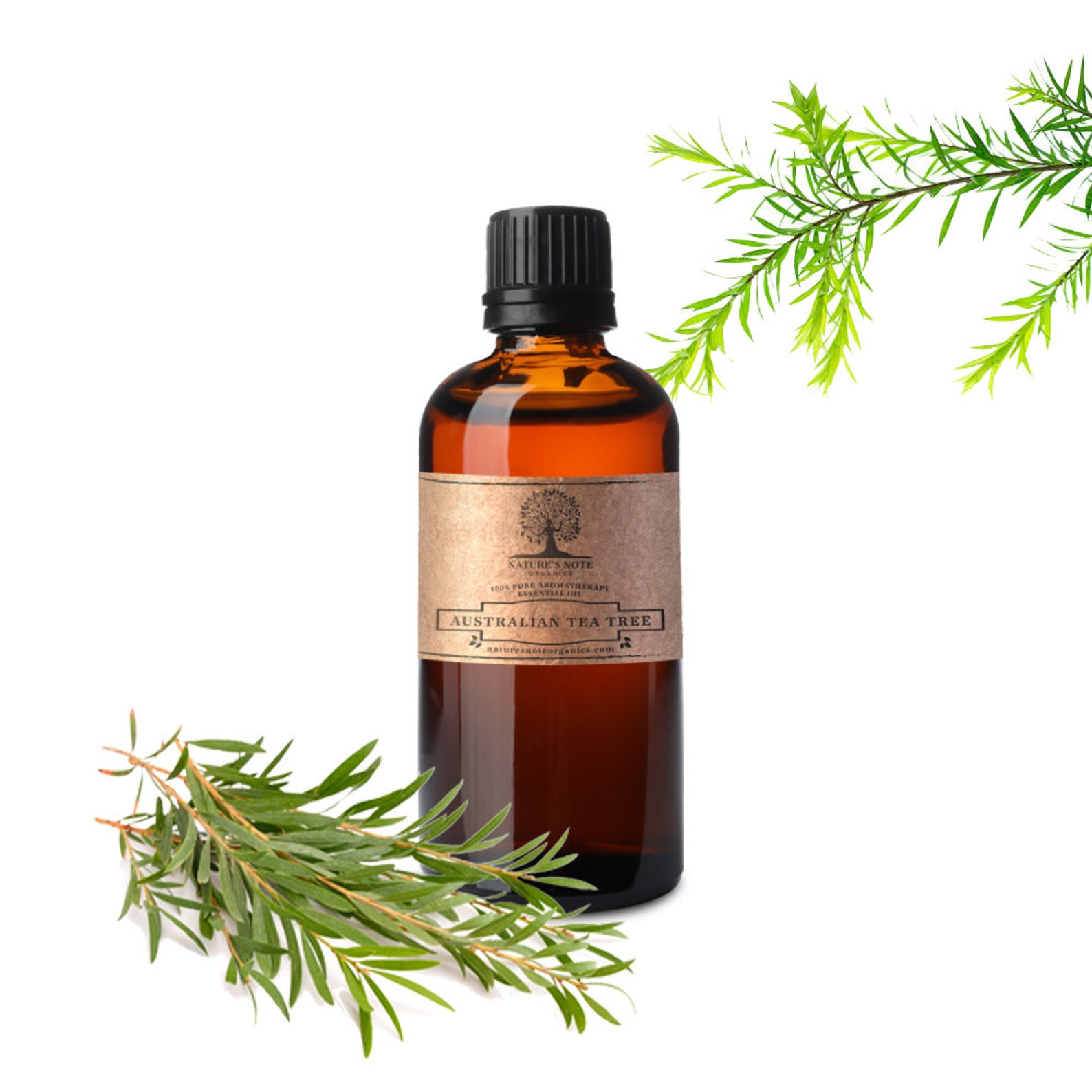 Australian Tea Tree Essential Oil 100% Pure Aromatherapy - Etsy