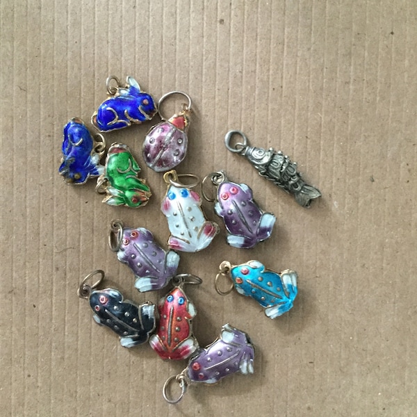 Colorful Frog - Etsy