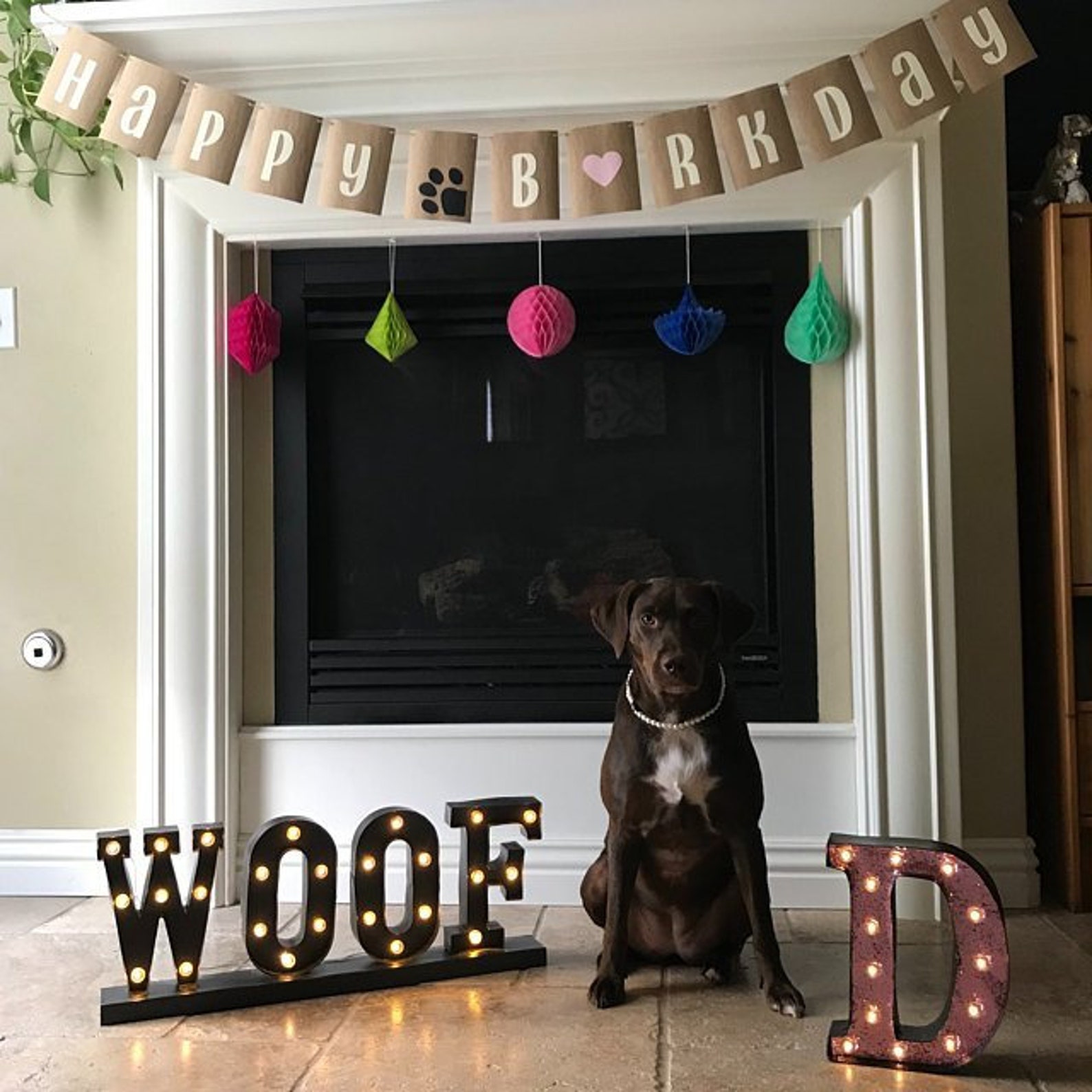 Happy Barkday Barkday Banner Happy Birthday Banner Dog - Etsy