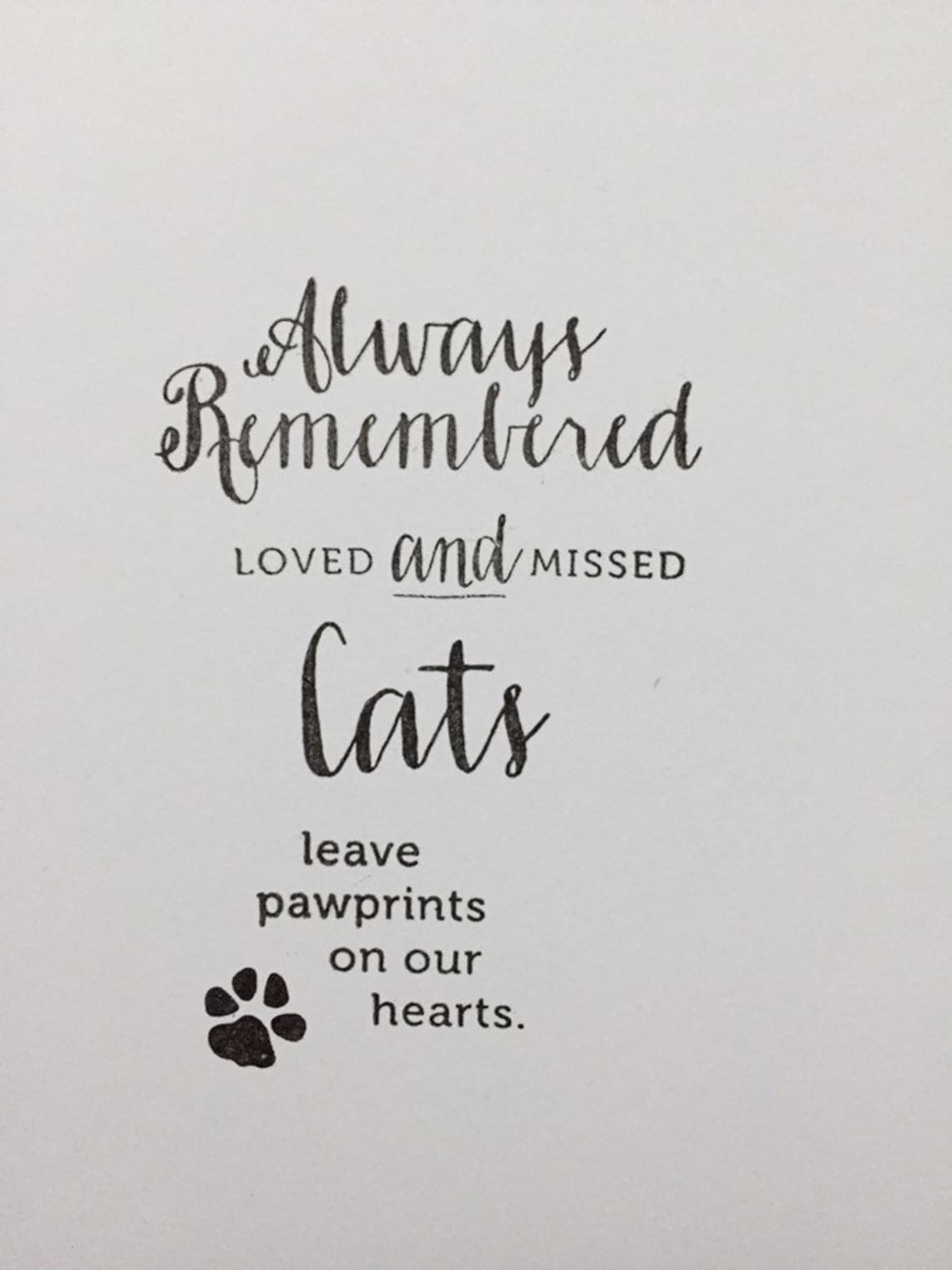 Cat sympathy card cat condolence card pet sympathy card cat | Etsy