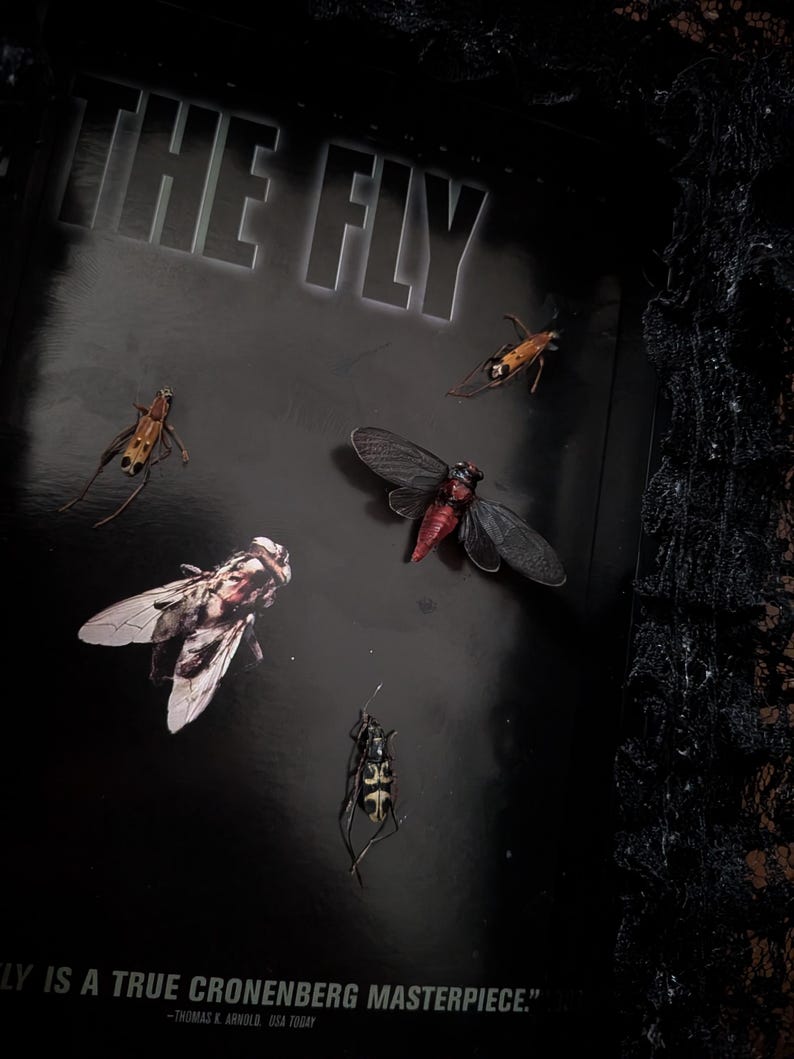 The Fly Horror Movie Poster With Real Pinned Bugs - Etsy