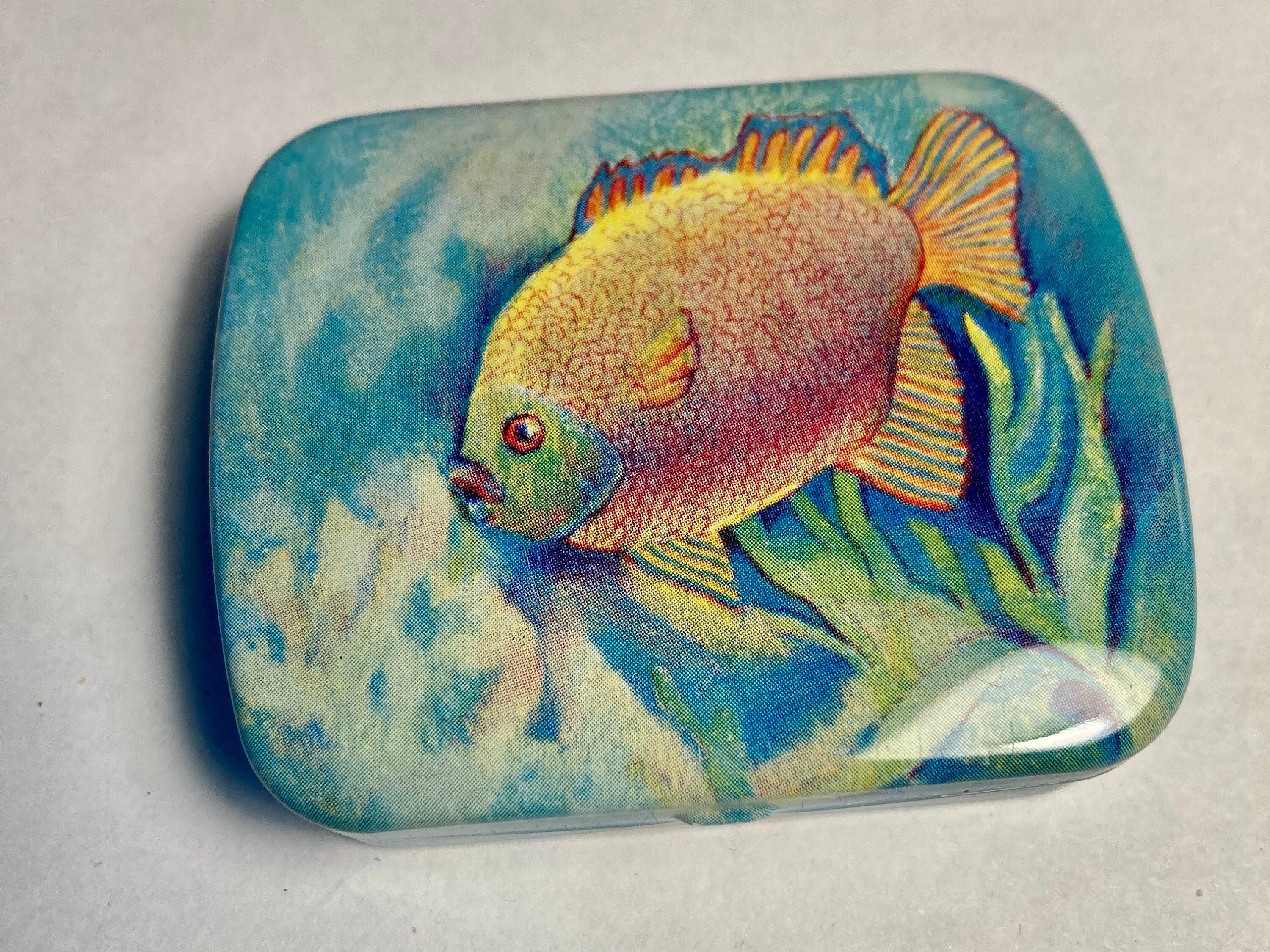 Vintage Collectible Dodo Designs 1980s Small Hinged Tin Box Pills Stash ...