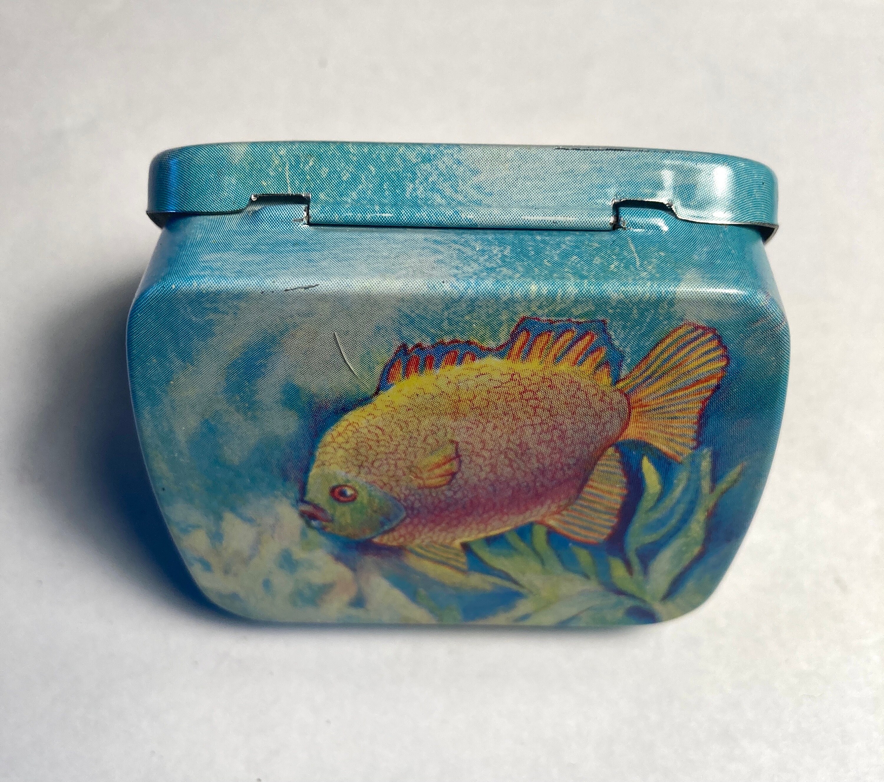 Vintage Collectible Dodo Designs 1980s Small Hinged Tin Box Pills Stash ...