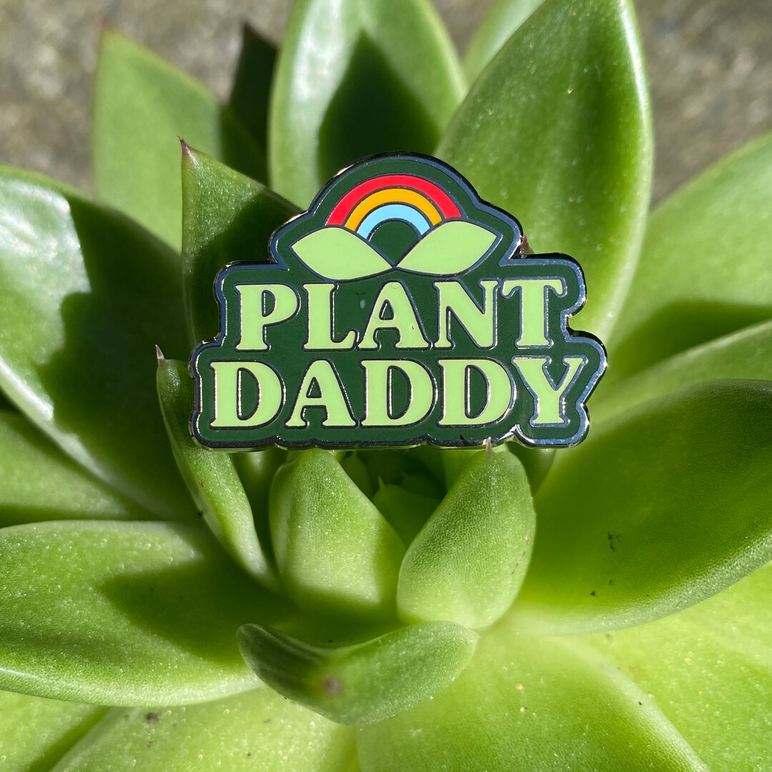Plant Daddy Rainbow Enamel Pin - Plant Pin - Etsy