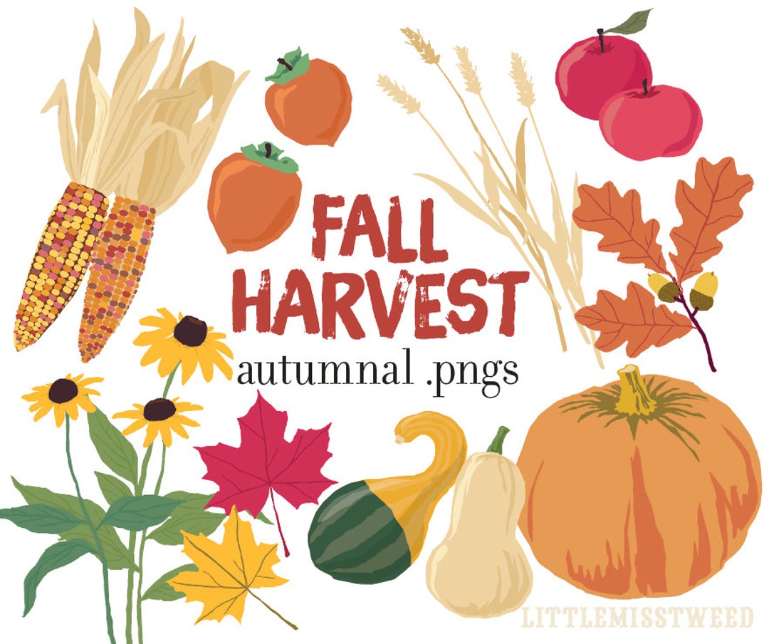 Fall Harvest Autumn Clipart Pumpkin Black-eyed Susan Maple - Etsy