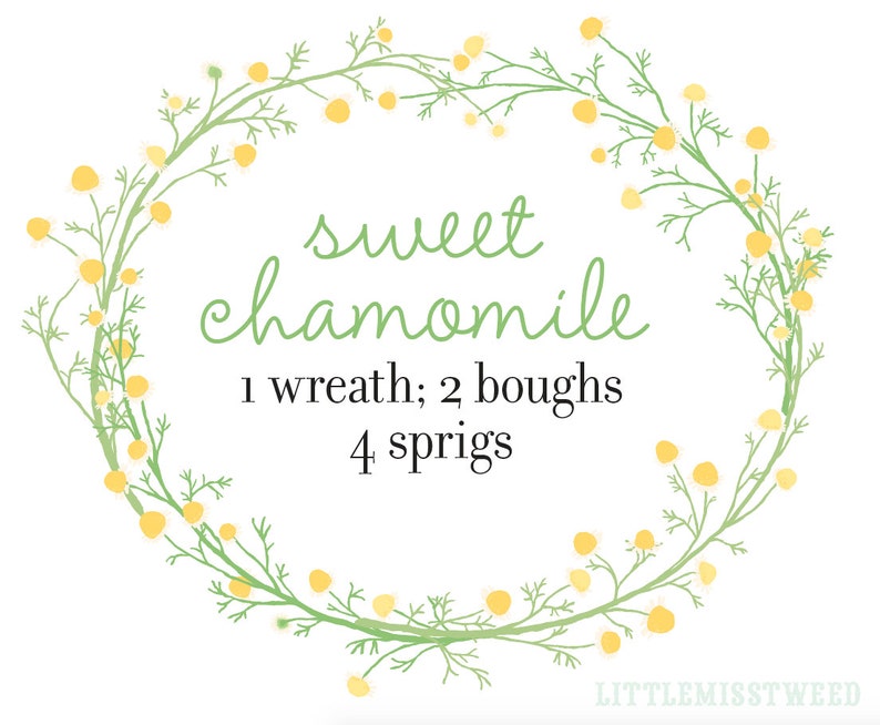 Sweet Chamomile Clip Art, Wedding Clip Art, Wedding Digital Download ...