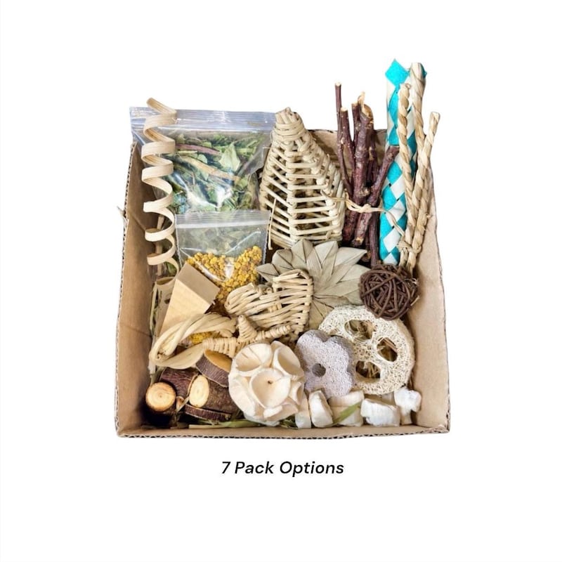 Rat Food Bundle - Etsy