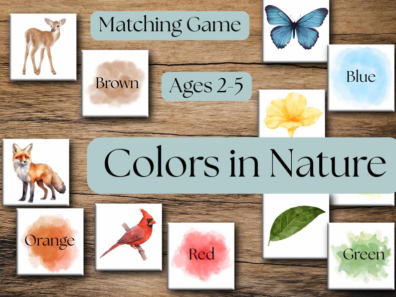 Colors in Nature Matching Game Printable | Preschool Activity | Toddler ...