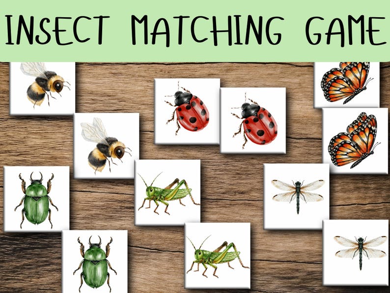 Insect Matching Activity Printable | Preschool Bug Memory Game ...