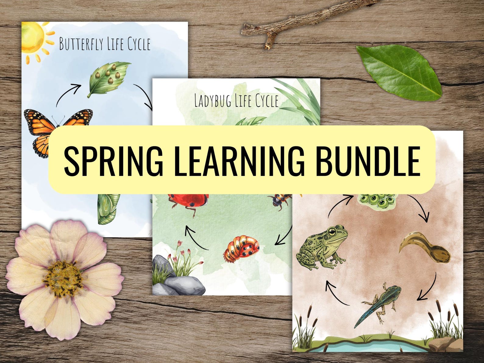 Spring Activity Bundle for Kids | Hands-on Nature Learning Set - Etsy