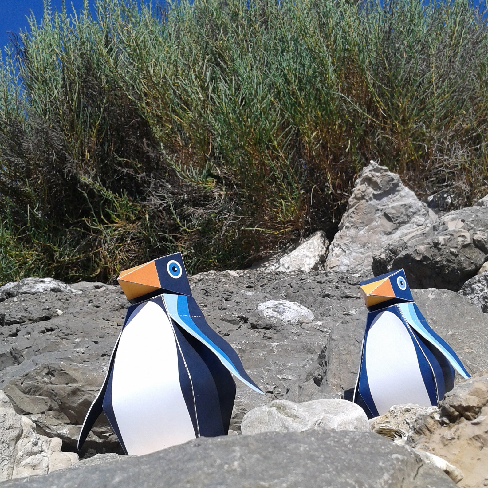 3D Penguin Paper Craft Kit: DIY Paper Toys - Etsy