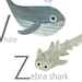 MARINE ANIMALS English Alphabet Poster With Animals From A to Z, BIG ...