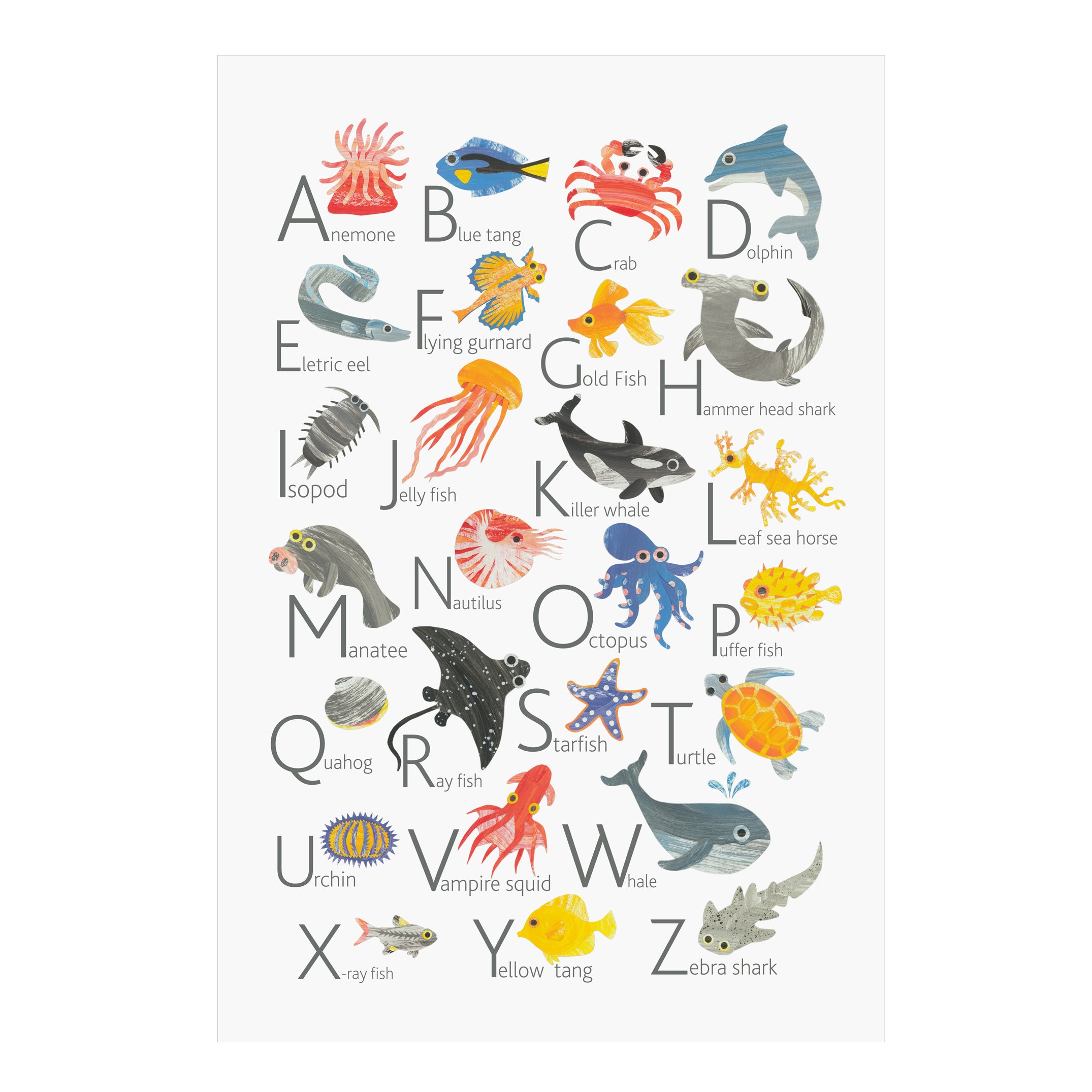 MARINE ANIMALS English Alphabet Poster With Animals From A to | Etsy