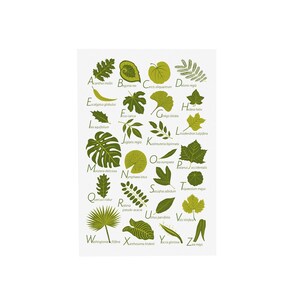 Leaves Alphabet Poster From A to Z, BIG POSTER 13x19 Inches - Etsy