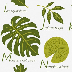 Leaves Alphabet Poster From A to Z, BIG POSTER 13x19 Inches - Etsy