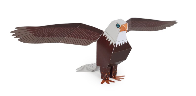 Maxi Bald Eagle Paper Toys DIY Paper Craft Kit 3D Paper - Etsy UK