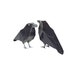 Ravens Paper Toys DIY Paper Craft Kit 3D Paper Animals - Etsy