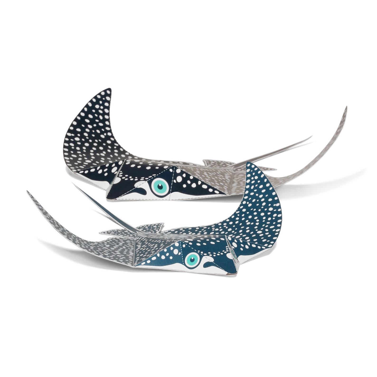 Maxi Spotted Eagle Ray Paper Toys DIY Paper Craft Kit 3D - Etsy