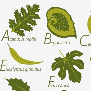 Leaves Alphabet Poster From A to Z, BIG POSTER 13x19 Inches - Etsy