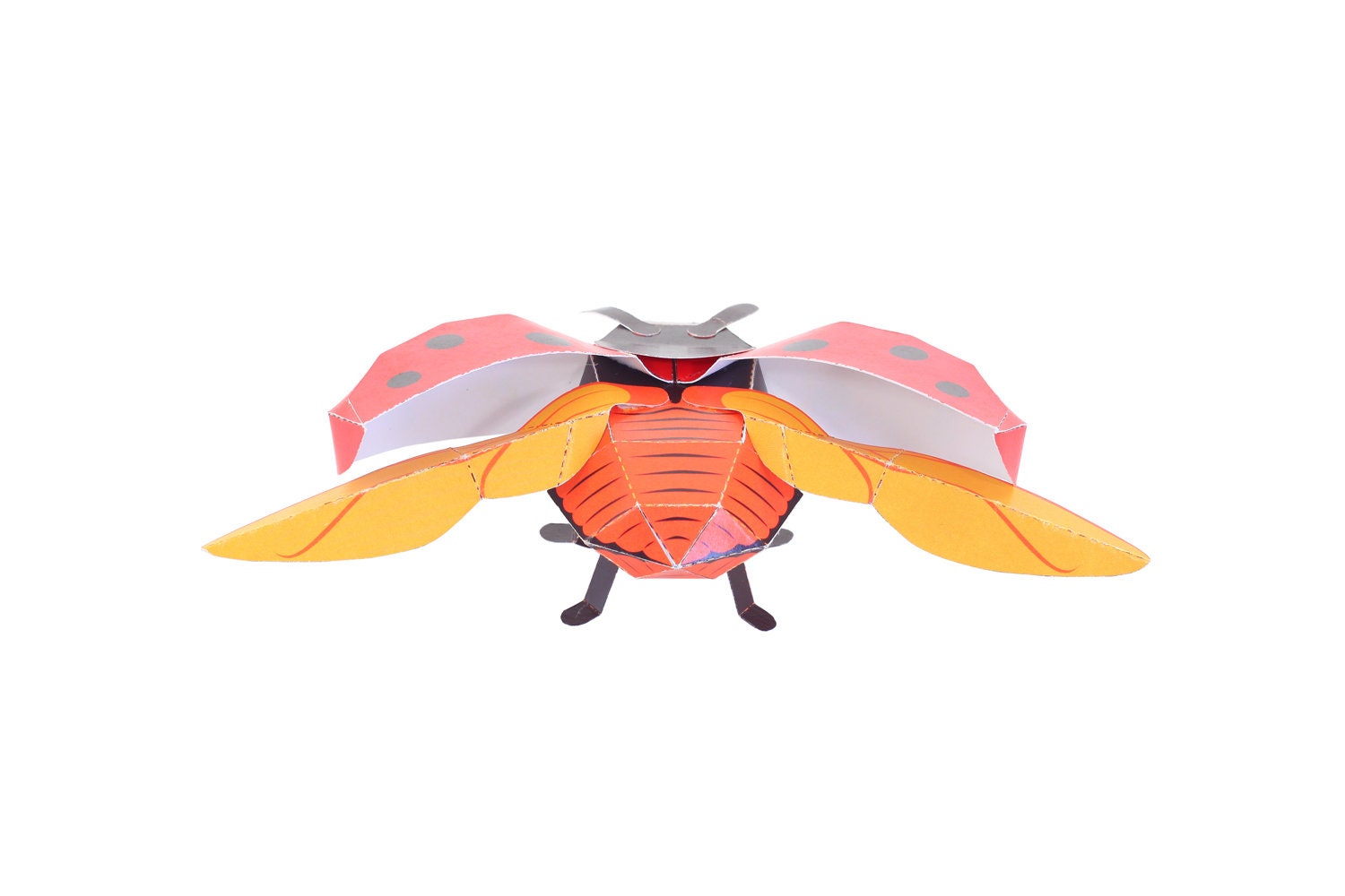 Ladybugs Paper Toys DIY Paper Craft Kit 3D Paper Animals | Etsy