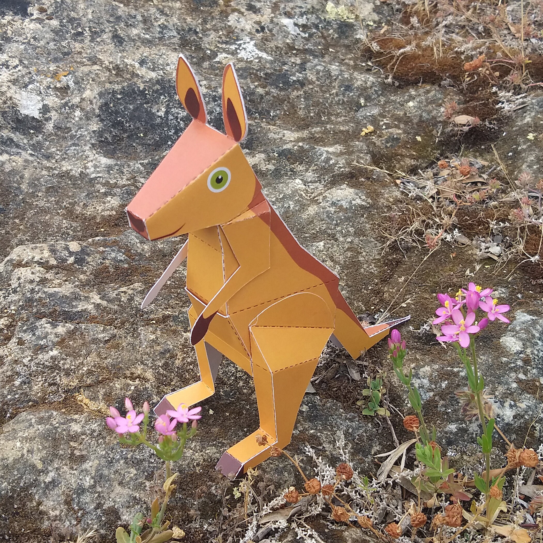 Maxi Kangaroo Paper Toys DIY Paper Craft Kit 3D Paper | Etsy