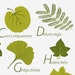 Leaves Alphabet Poster From A to Z BIG POSTER 13x19 Inches - Etsy