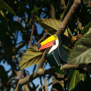 Toucan Paper Toys: DIY 3D Paper Craft Kit - Etsy