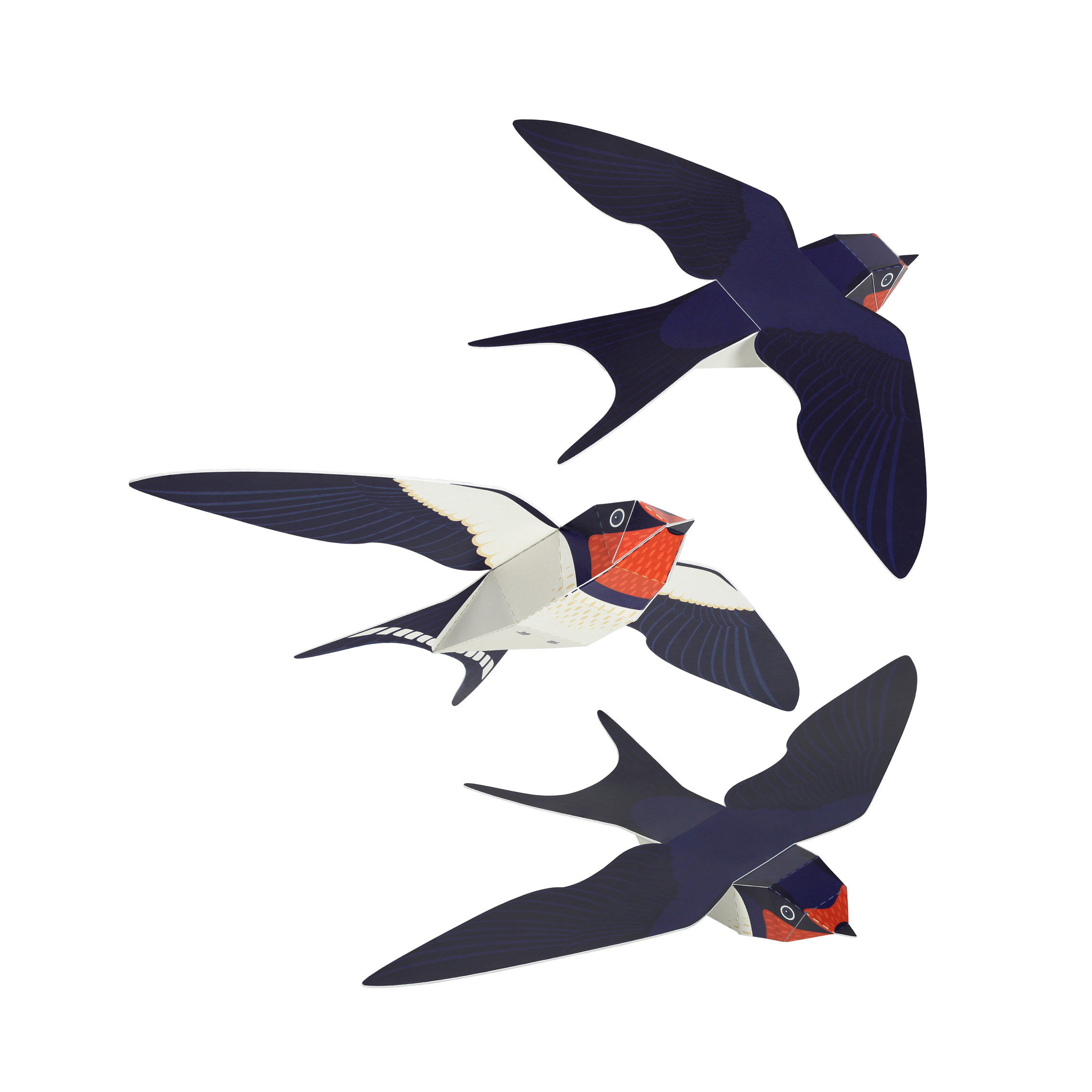 Papercraft Barn Swallow 3d papercraft Printable papercraft template ...