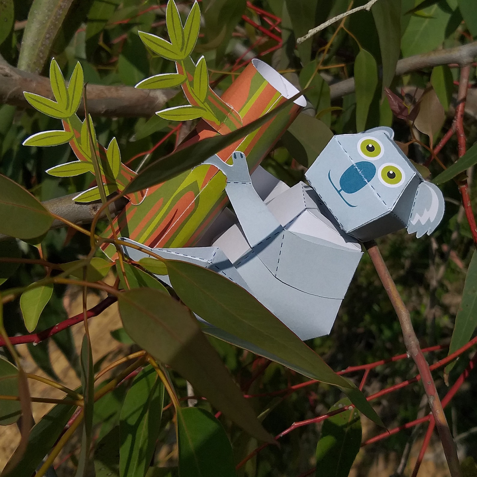 Maxi Koala Paper Toys DIY Paper Craft Kit 3D Paper Animals - Etsy India