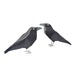Ravens Paper Toys DIY Paper Craft Kit 3D Paper Animals - Etsy