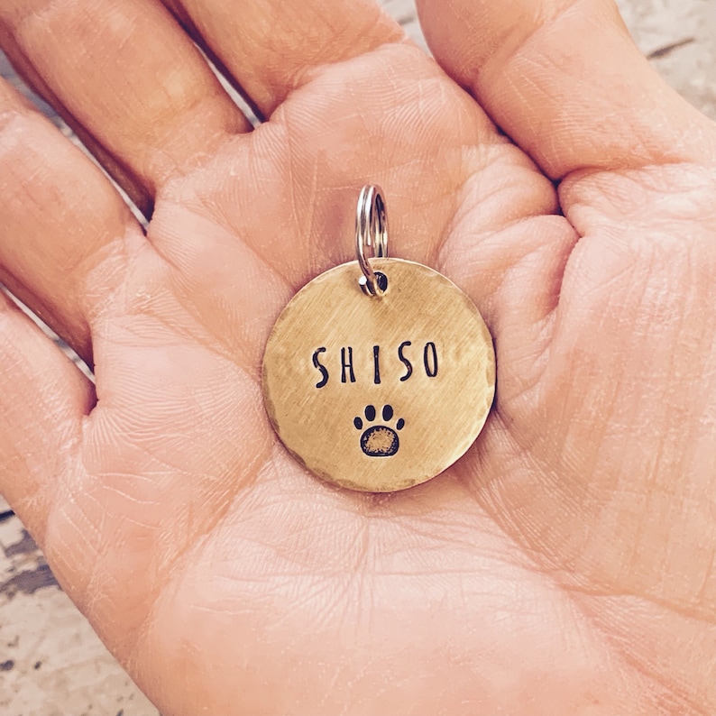 Custom Brass Pet ID Tag: Deeply Engraved Dog & Cat Tag - Etsy UK