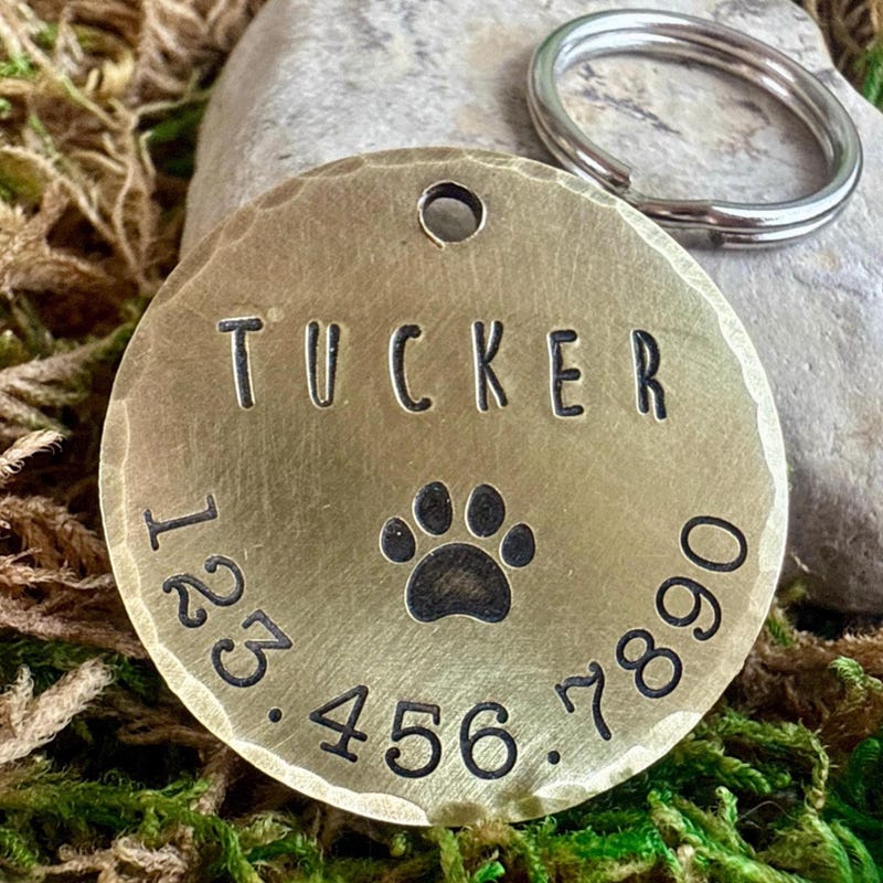 Rustic Dog Collar - Etsy