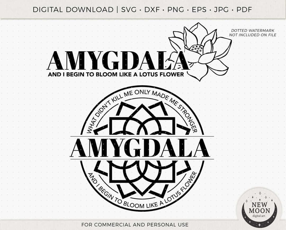 Amygdala Vector / BTS svg / KPop Sticker / Descarga instantánea para ...