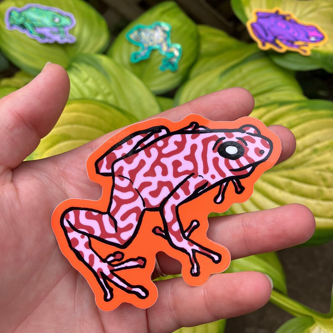 Pink and Red Trippy Frog - Etsy