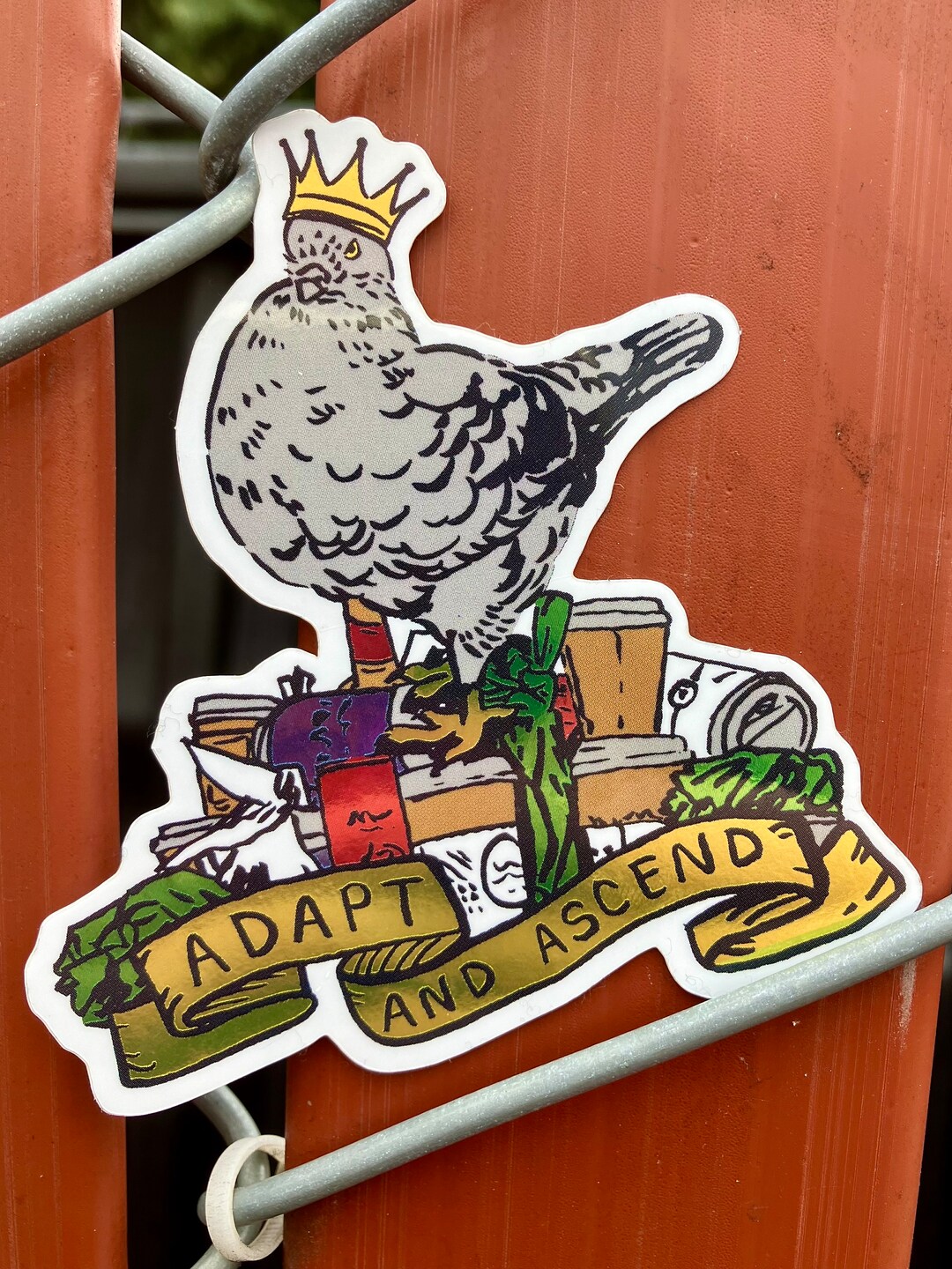 Mirrored Adapt and Ascend Pigeon Sticker - Etsy