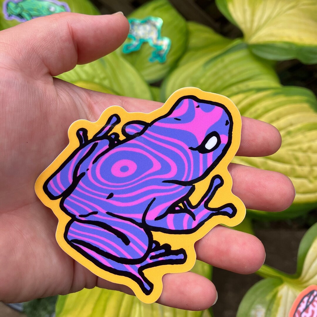 Pink and Purple Trippy Frog - Etsy