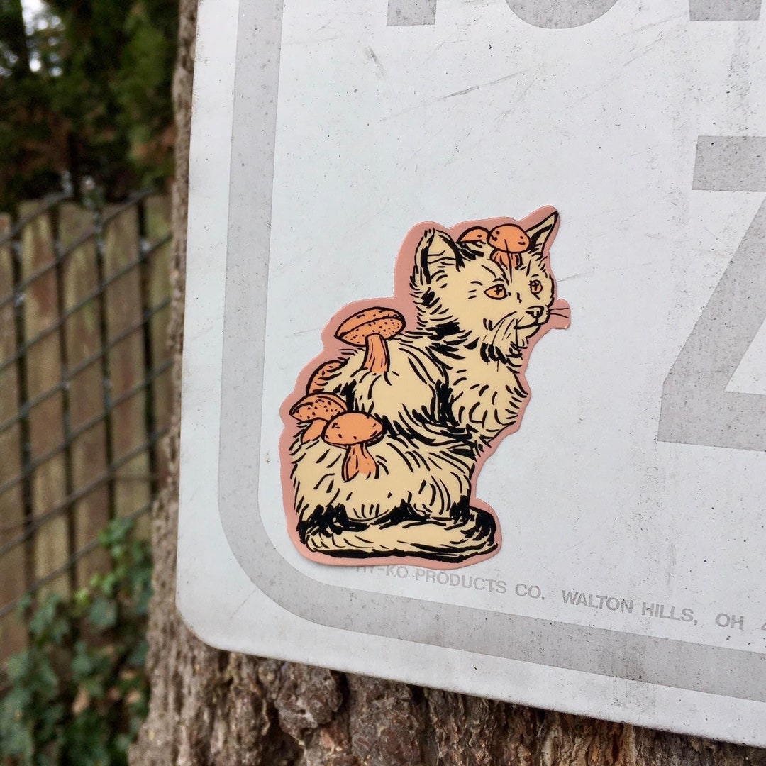 Bolete Cat Sticker - Etsy