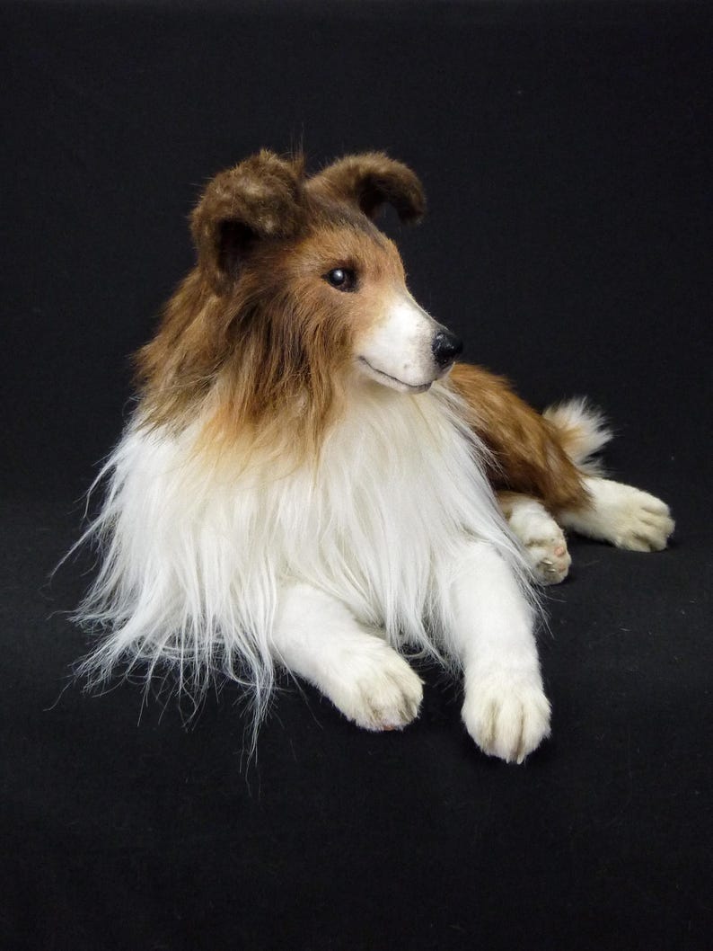 Custom Realistic Shetland Sheepdog Plush | Life Size Poseable Stuffed ...