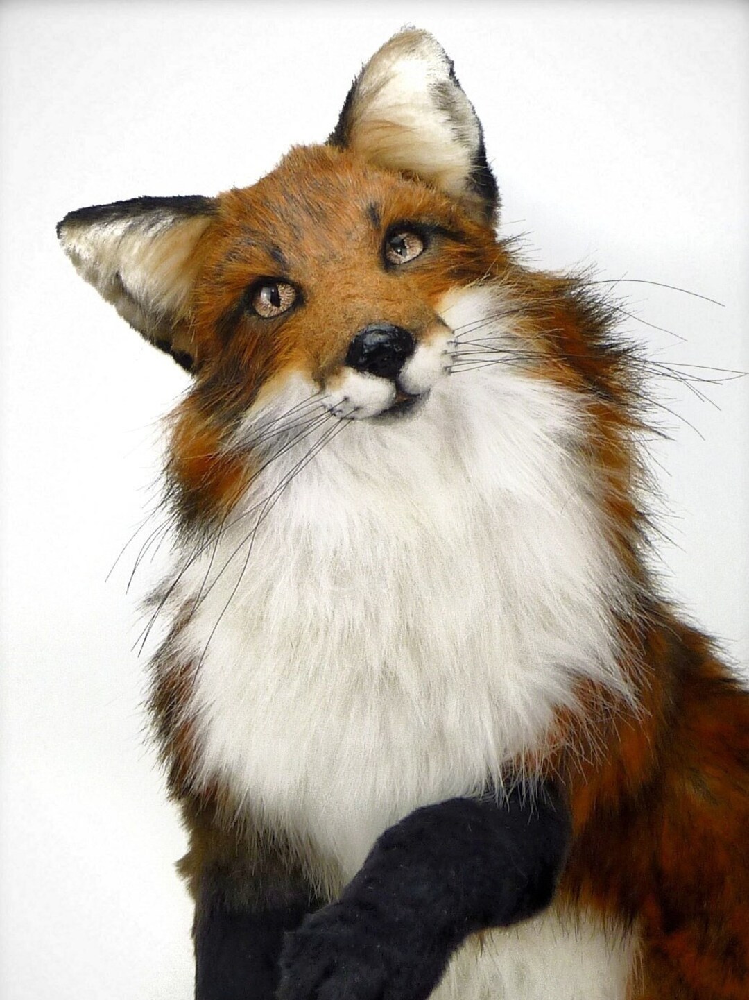 Custom Realistic Red Fox Plush | Life Size Poseable Stuffed Animal ...