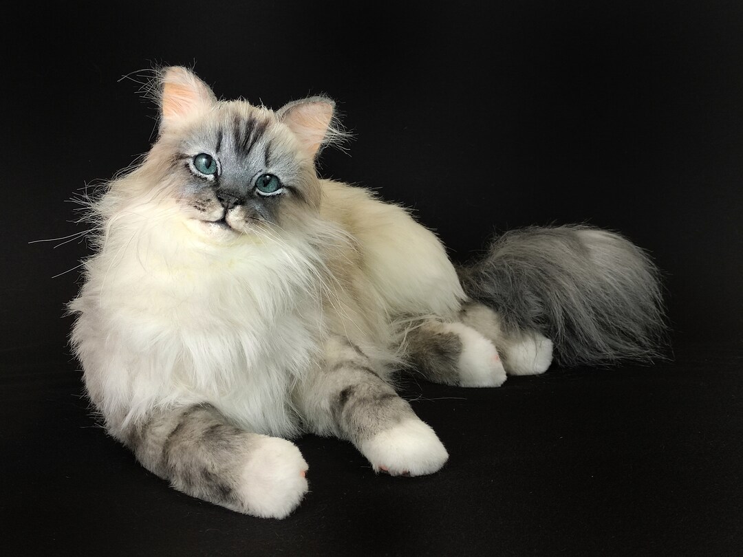 Custom Realistic Birman Cat Plush | Life Size Poseable Stuffed Animal ...