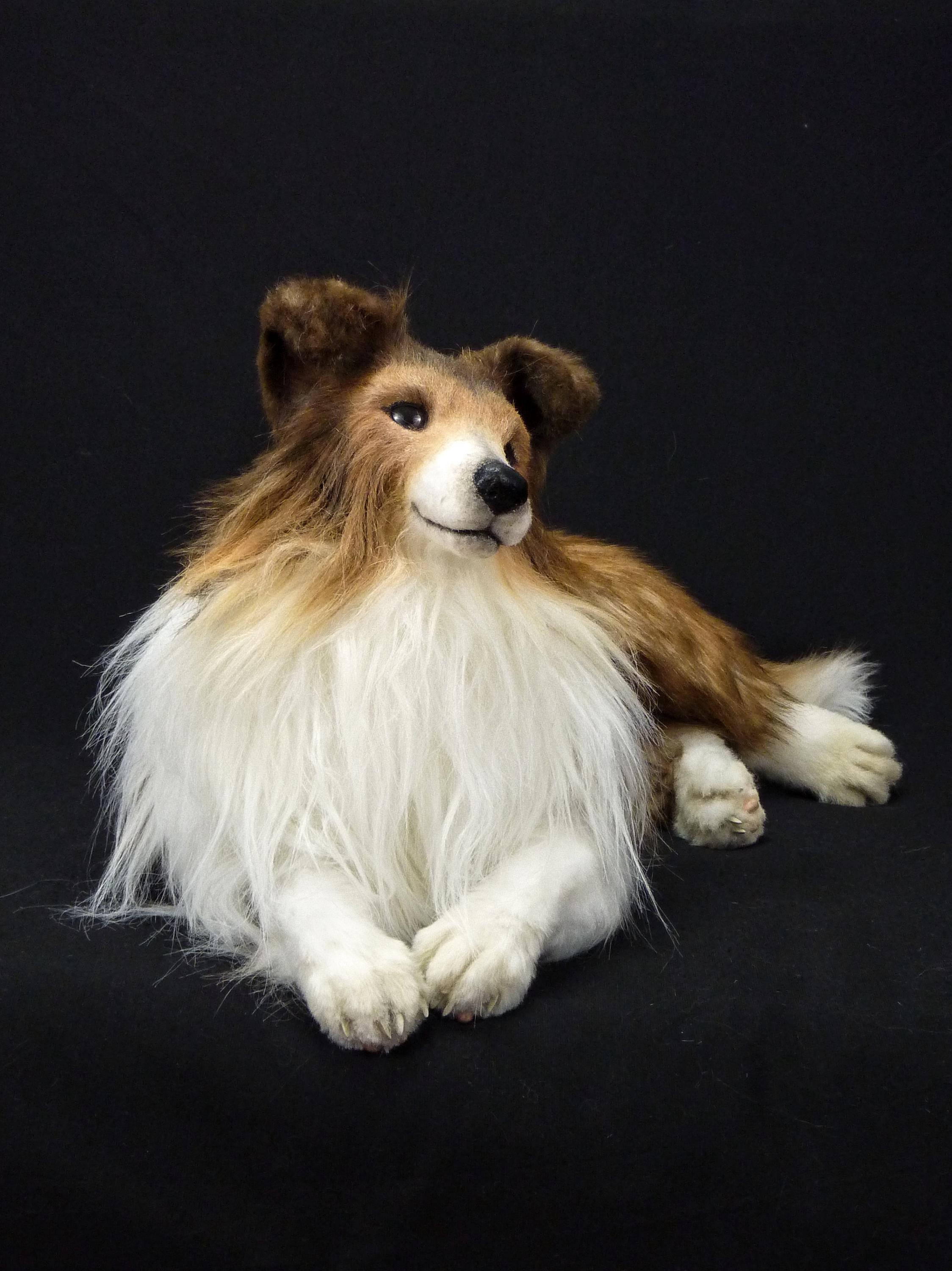Custom Realistic Shetland Sheepdog Plush | Life Size Poseable Stuffed ...