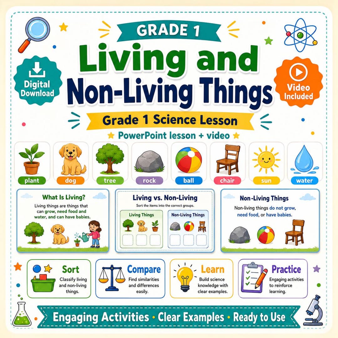 Living and Non-living Things Worksheet Grade 1 Science Activity ...