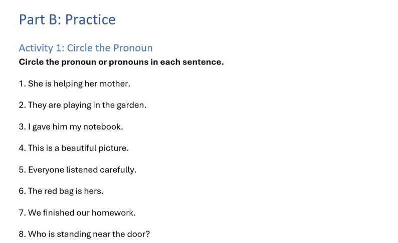 Pronouns and Their Types Worksheet | Grammar ELA Lesson (printable) - Etsy