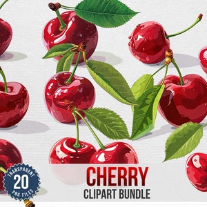 Sweet Cherry Clipart Bundle: 20 PNG Files, Commercial License (digital ...