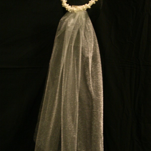 Floor Length Veil With Lace Framing Face - Etsy