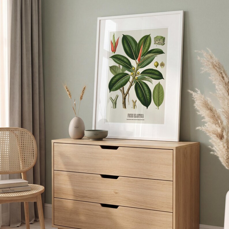 Rubber Plant Print, Funny Vintage Ficus Poster, Sarcastic Nature - Etsy