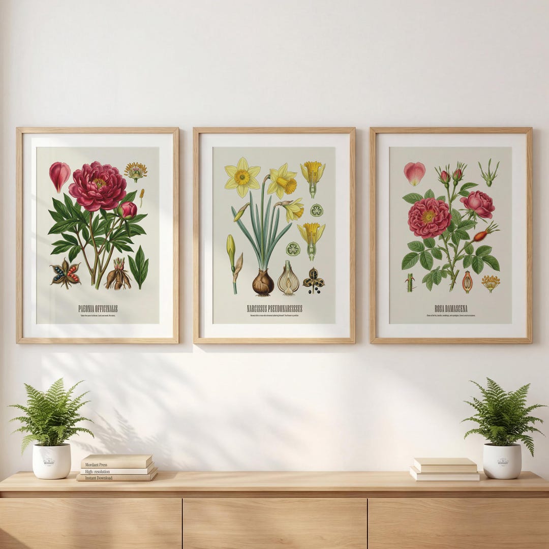 Romance Art Set, Romance Set of 3 Prints, Damask Rose Peony Daffodil ...